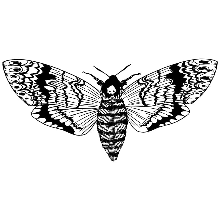 Death's Head Moth Stamp Unique And Intricate Designs