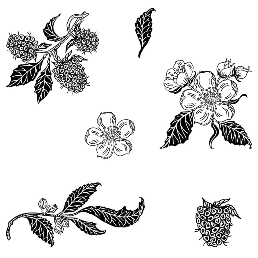 Bramble Set of Rubber Stamps, Hedgerow Collection